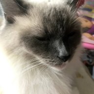 If something is unlikely....is it high odds or low odds? | Absolute ...